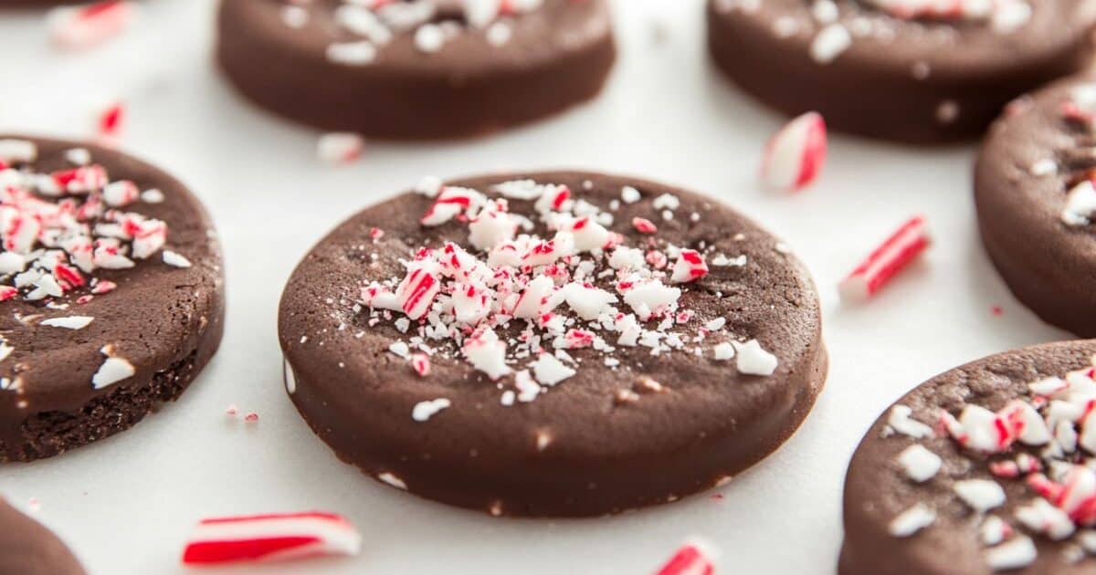 20 Festive No Bake Christmas Cookies