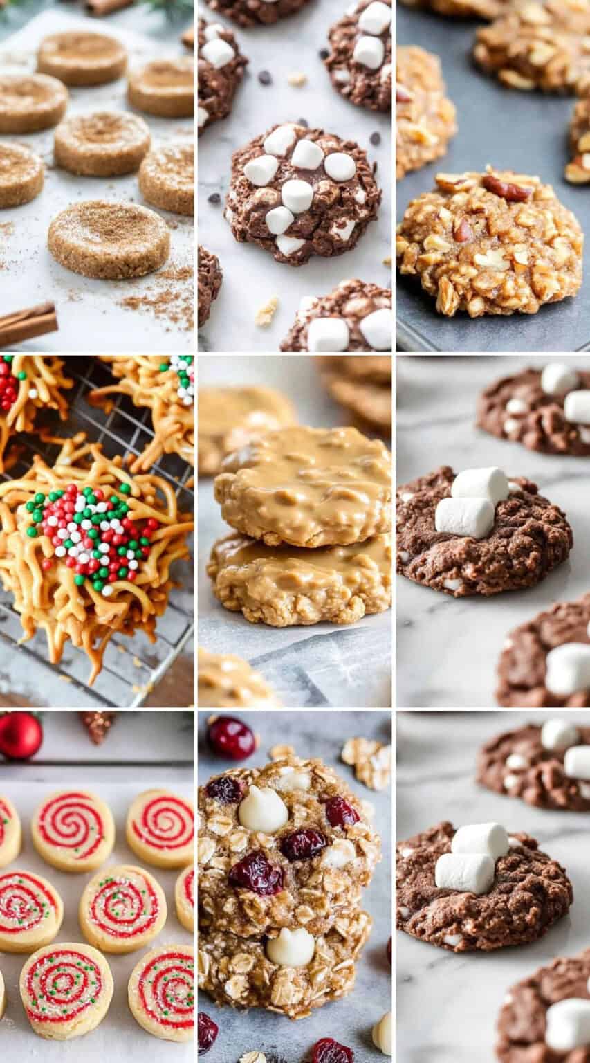 20 Festive No Bake Christmas Cookies
